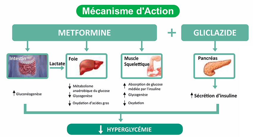 Strides : Une gamme pour une meilleure prise en charge en gynécologie ...